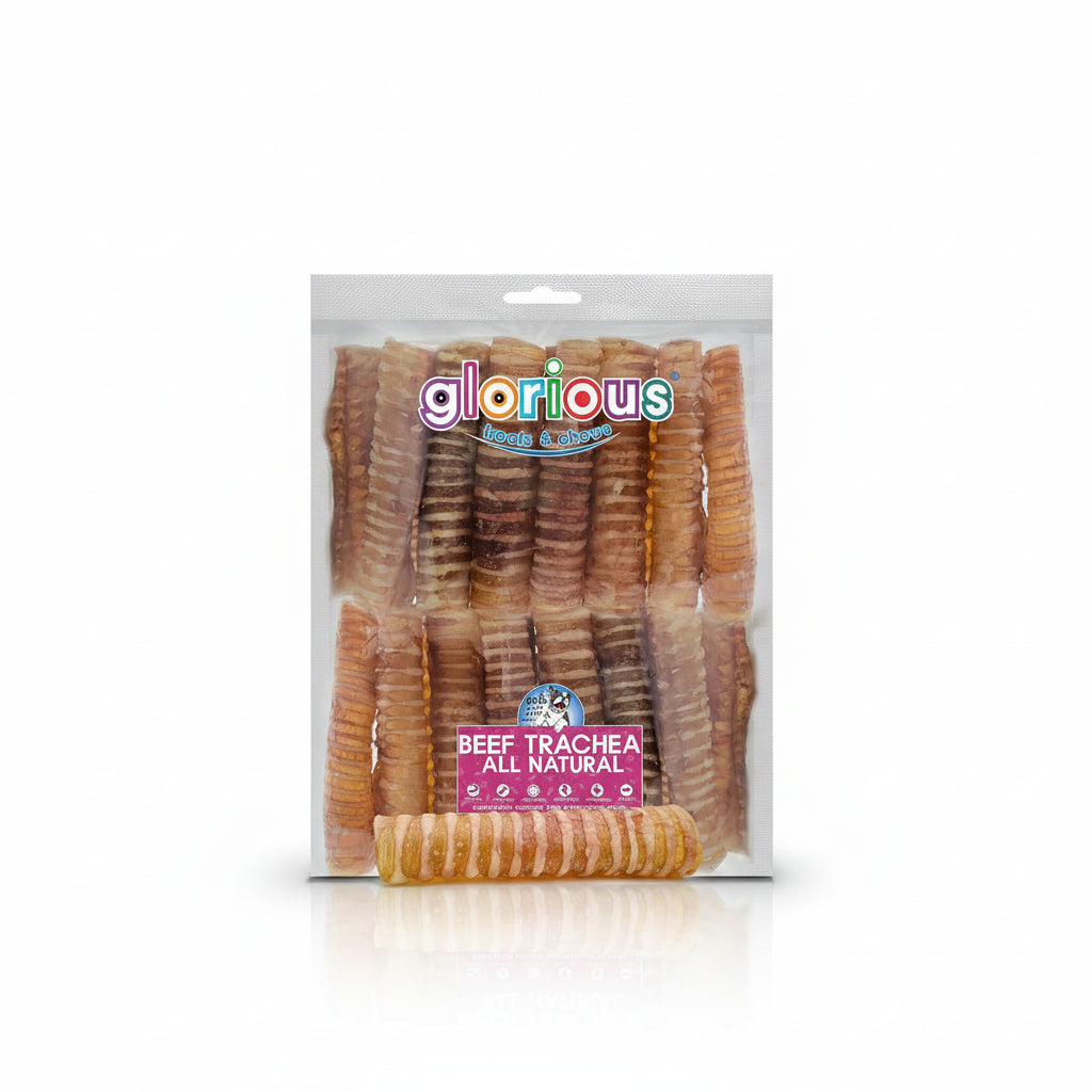 Natural Beef Trachea Dog Chews for Health & Fun!– Glorious Treats and Chews